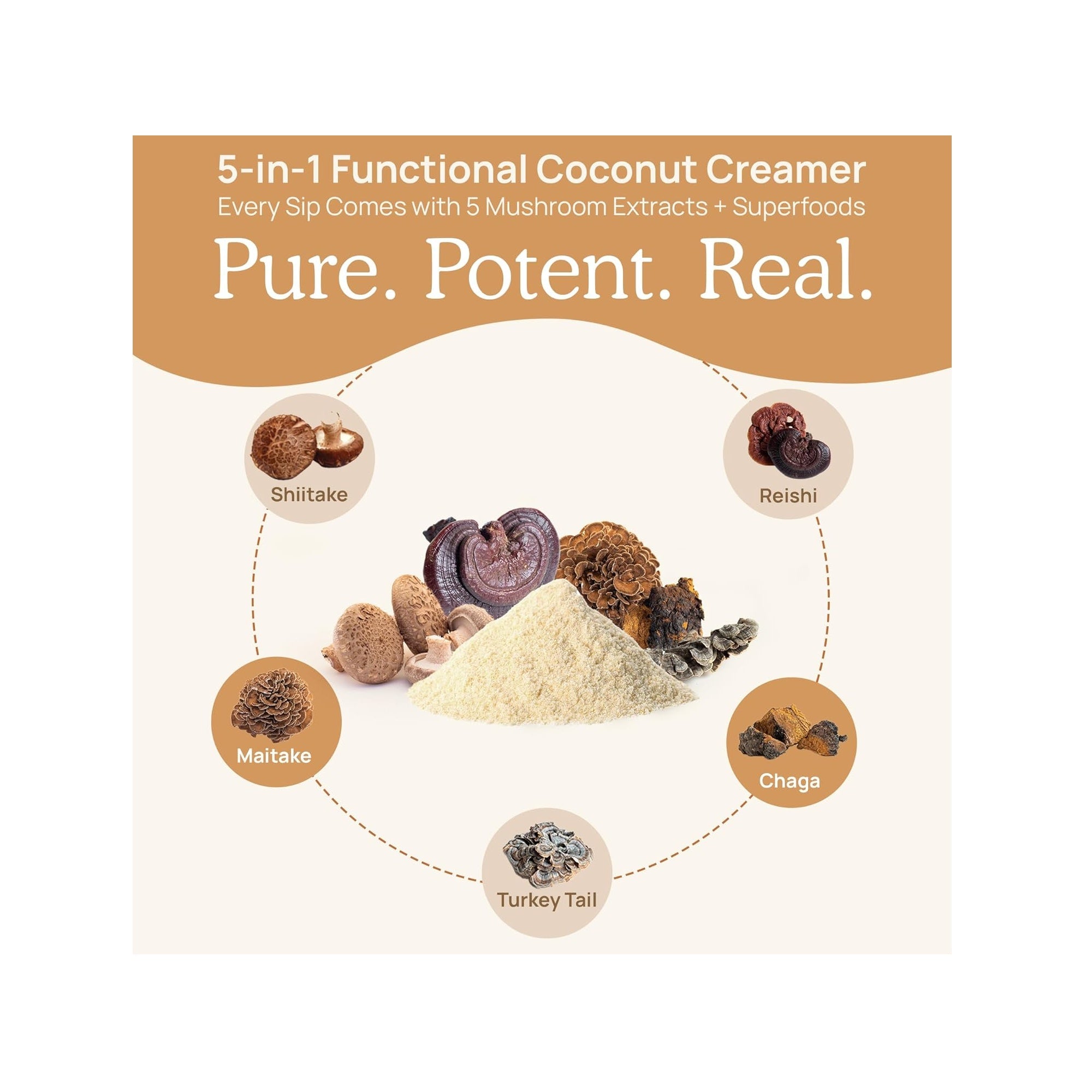 Functional Coconut Creamer Powder w/ 5 Defenders Mushroom Powder Blend ...